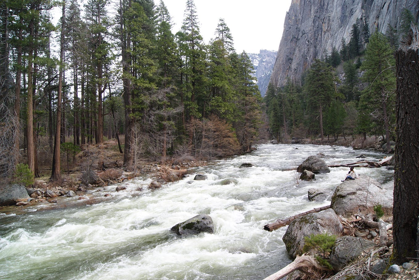 We Have Seen The Lord. Originally preached Easter Sunday… | by Sam ...