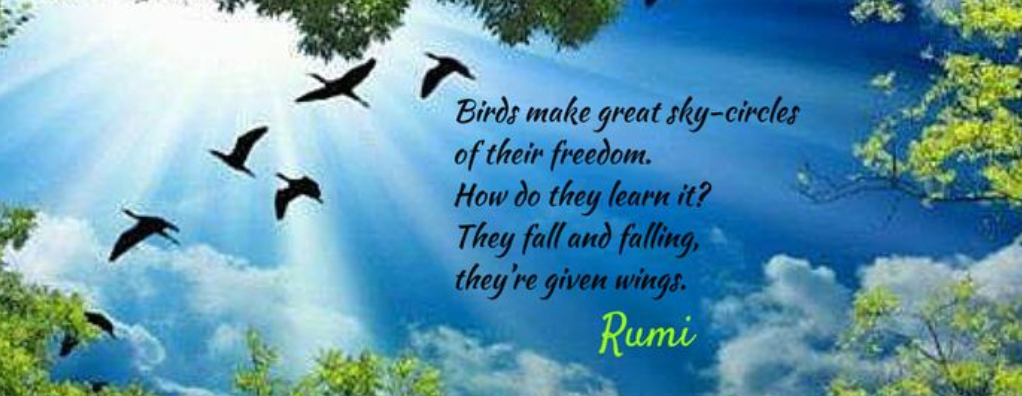 Passion Begins From Destination, Not For Destination By Rumi | by ...