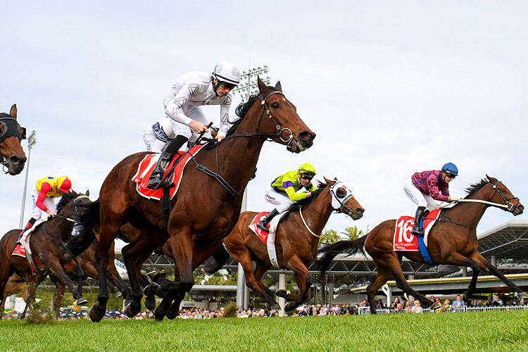 Professional Horse Racing Tips — Paul Gargan Racing - Paul Gargan ...