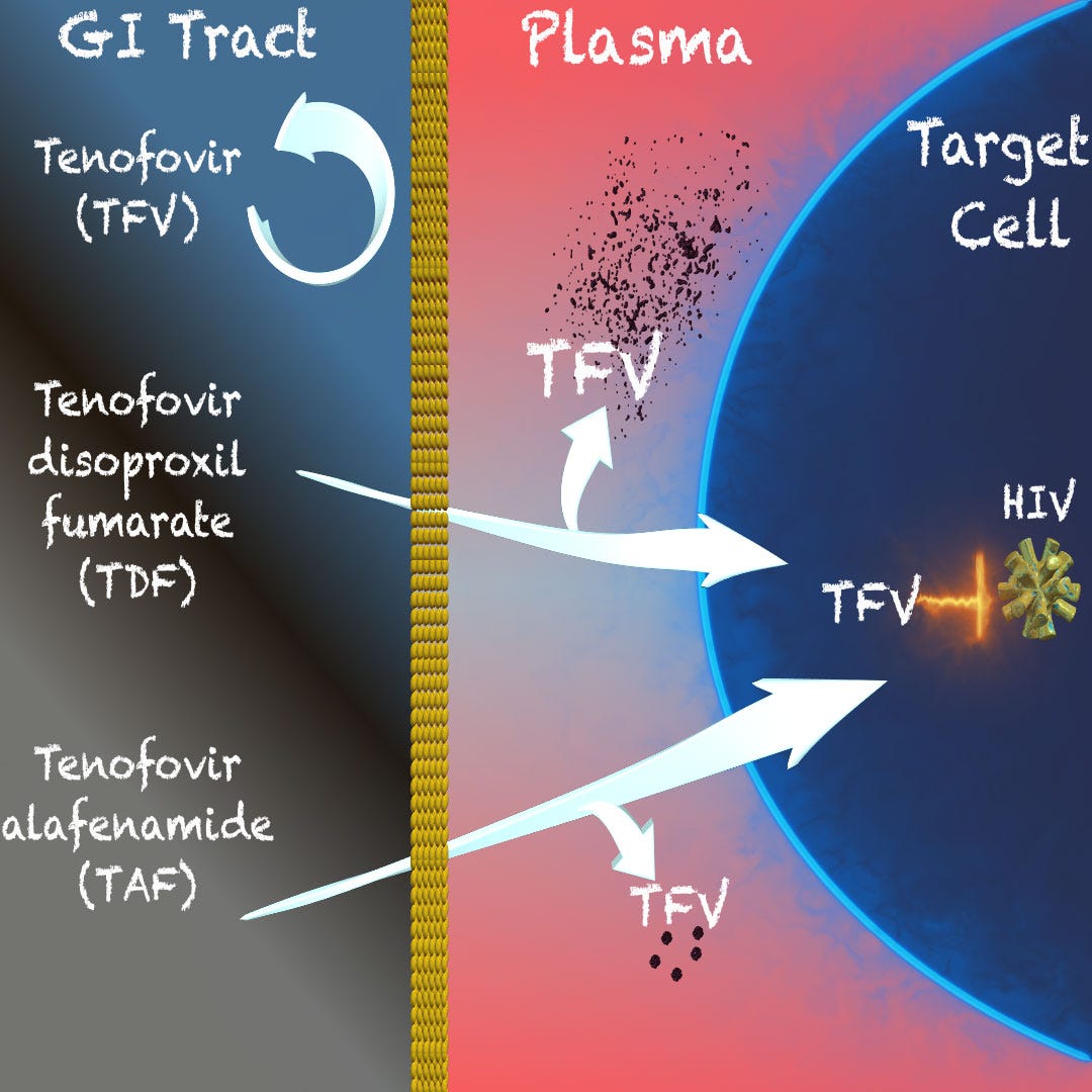 Precepting a Student with a Negative Attitude | by CorConsult Rx | Medium