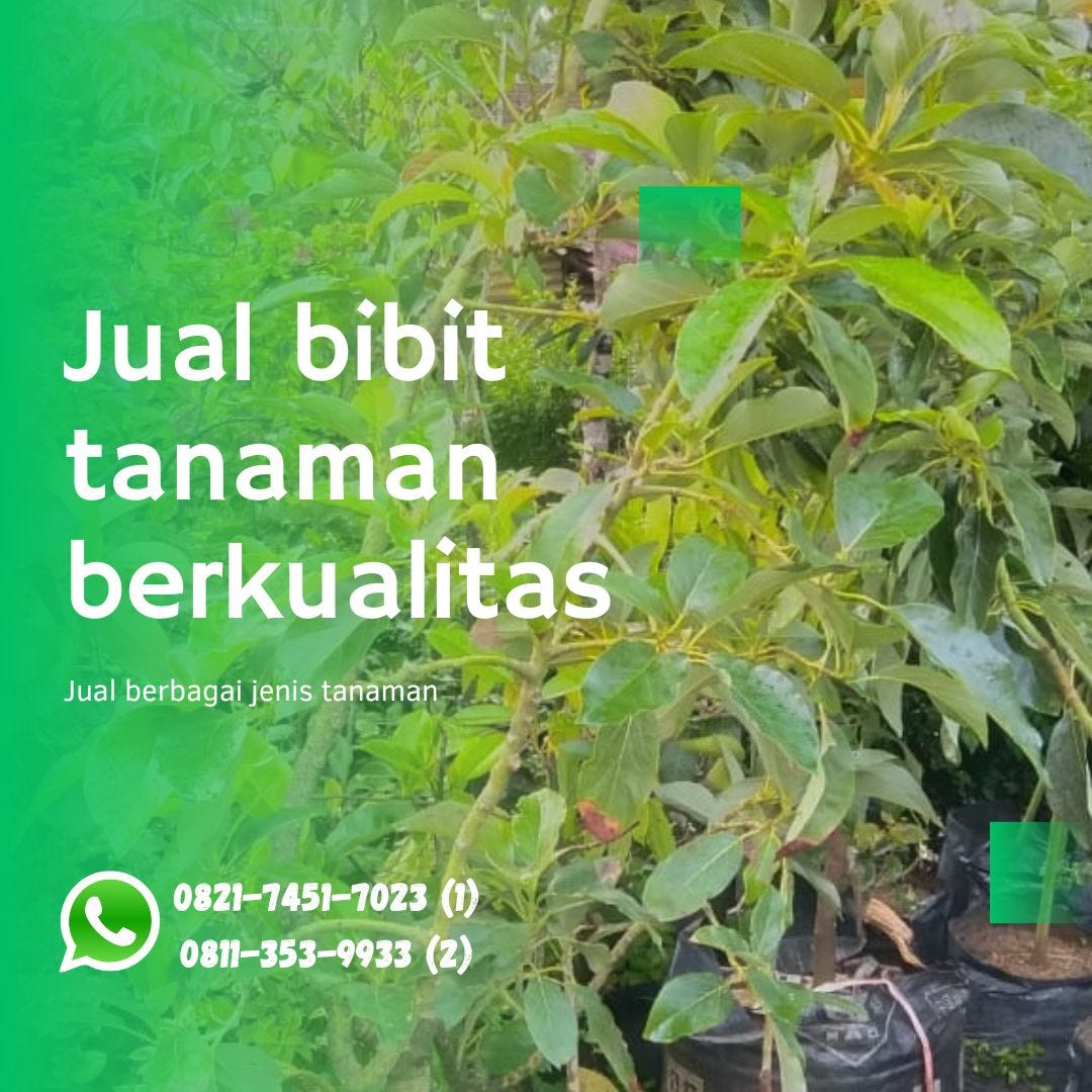 0821–7451–7023, Jual Bibit Buah Dan Sayuran | by Meka | Medium