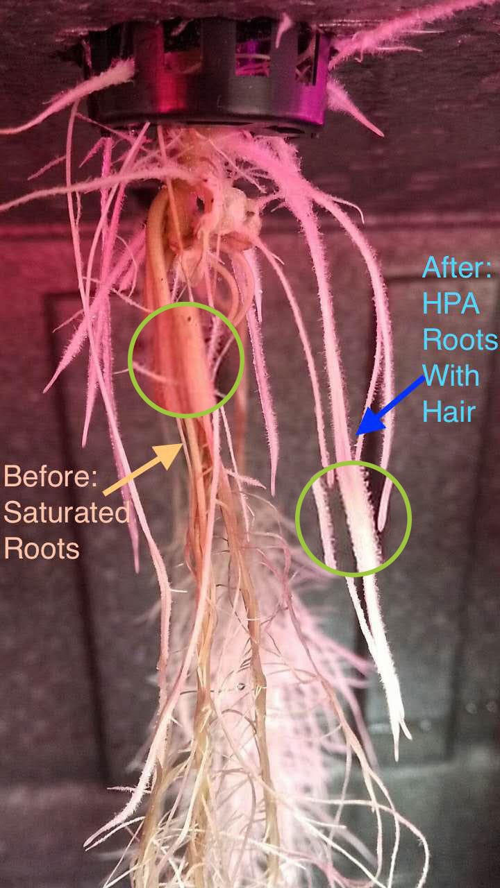 Aeroponics — Smart Controller. What is a controller and why do we need ...