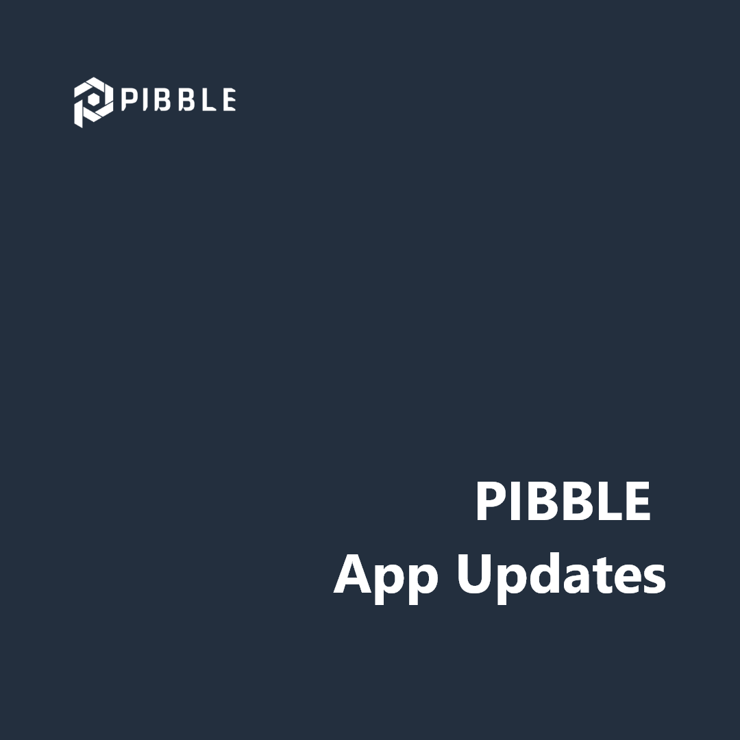 9th PIB token burning announcement | by PIBBLE_AI content Hub | Medium