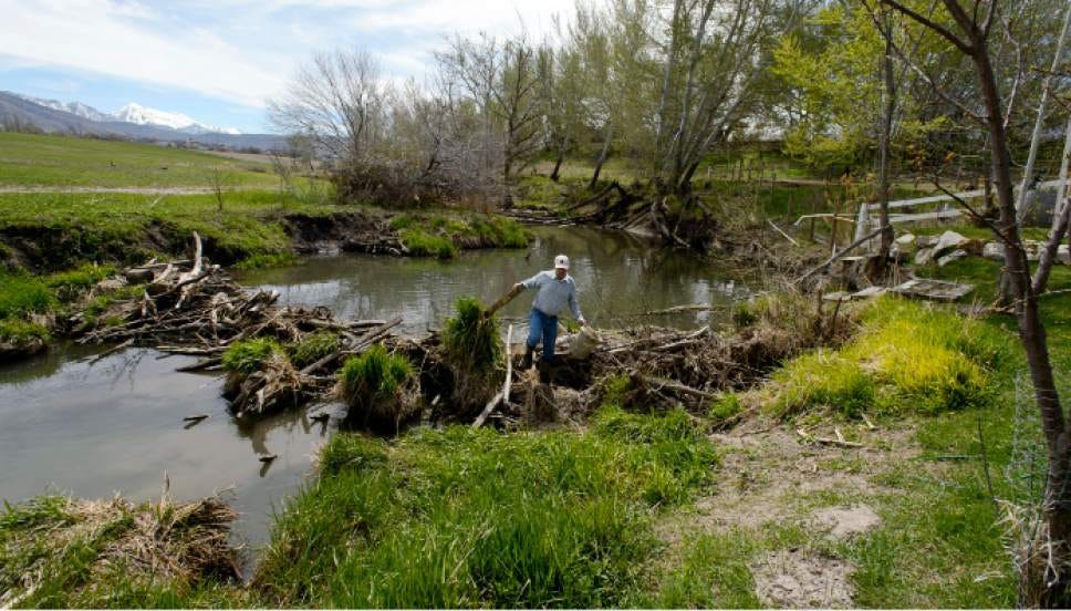 Utah’s Molen Reef has lots of unknown rock art and little oil and gas ...