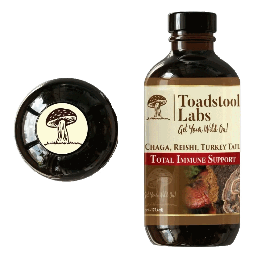 Reishi and Turkey Tail: Nature’s Wellness Allies - Toadstoollabs - Medium