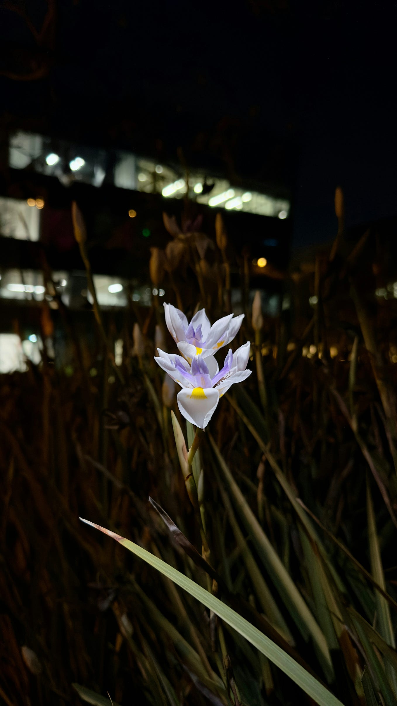 Darkness Pools Below My Feet. I waited too long, so now I sit and… | by ...