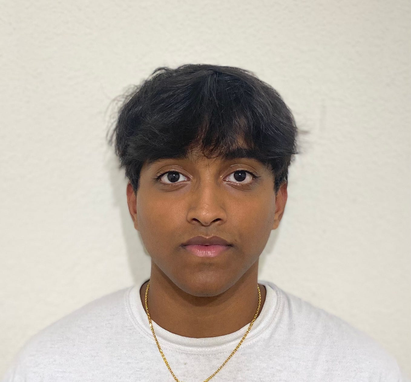 CS 371p Spring 2025: Karthik Karuppiah #4 | by Karthik M Karuppiah ...