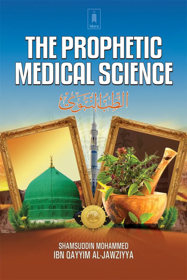Solomon (Sulayman) in Islam: A Prophet of Wisdom and Power | by ...