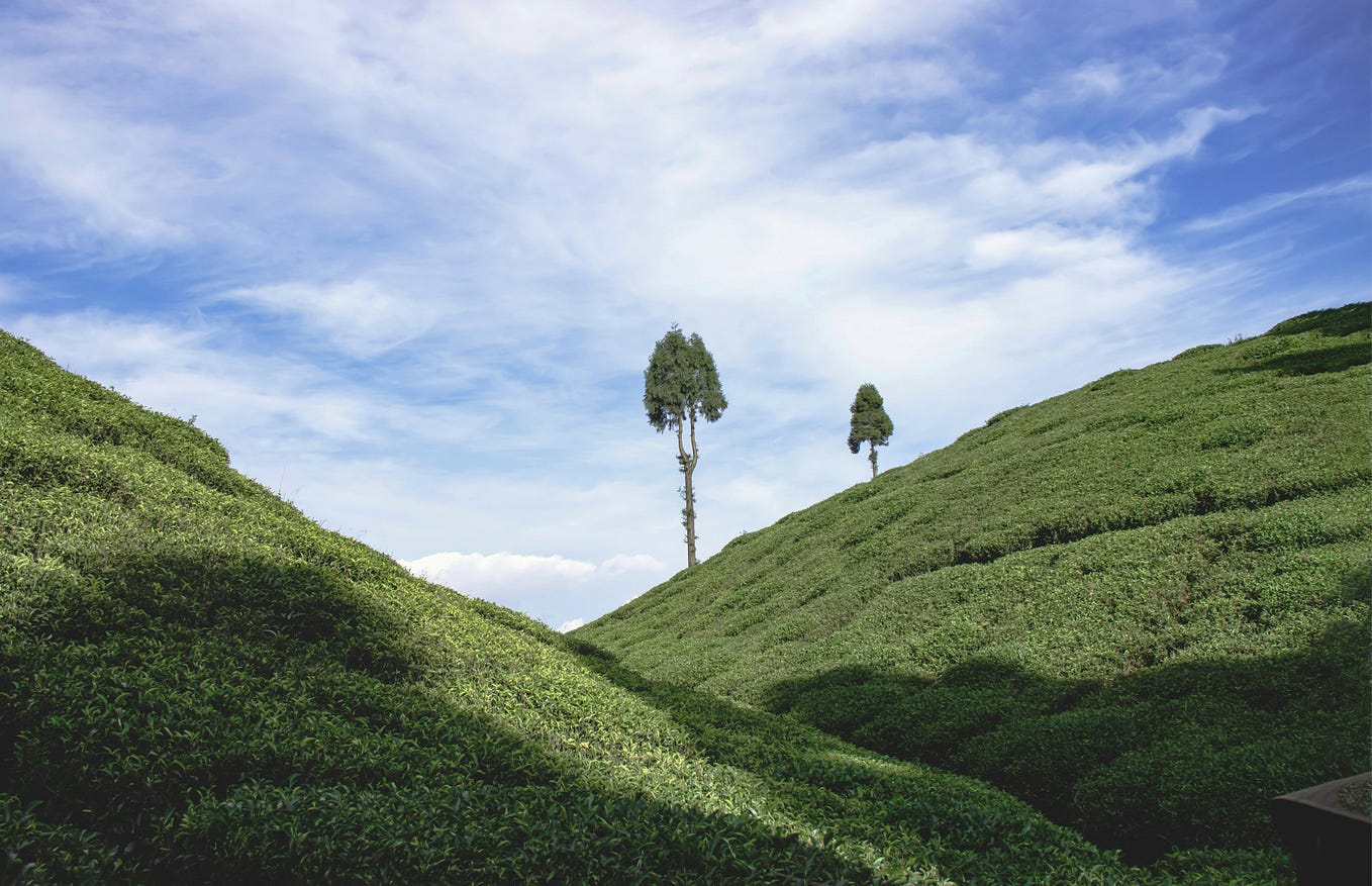 To Be Yourself Starts At The End Of Your Comfort Zone! | by Gregory ...