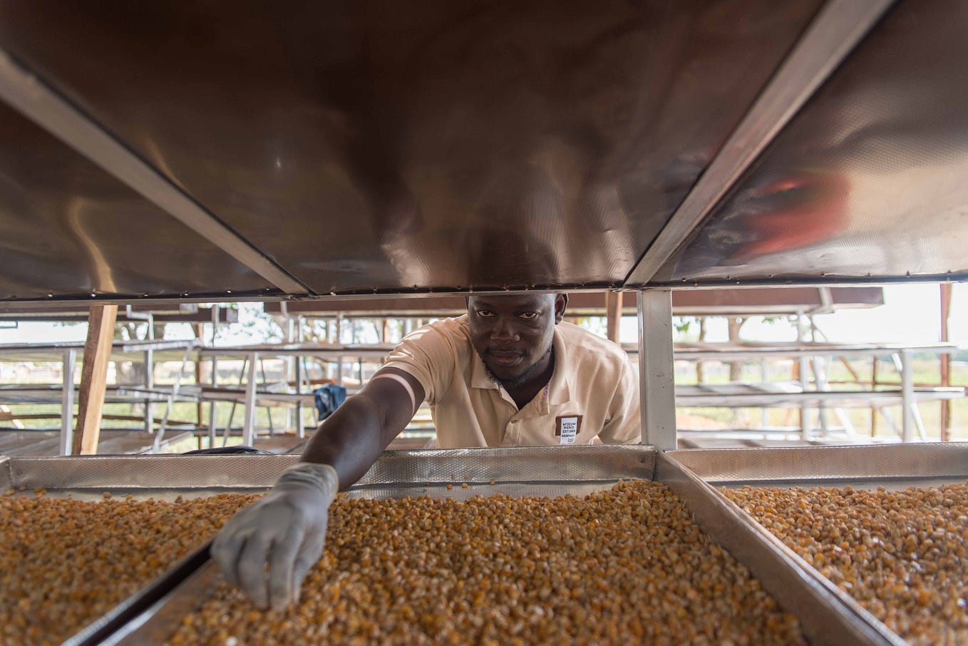 Embracing IoT and AI for Forest Protection: Lessons Learned and the ...