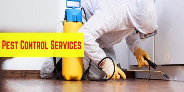 Top Termite Service & Ant Control Remedies That Actually Work | by ...