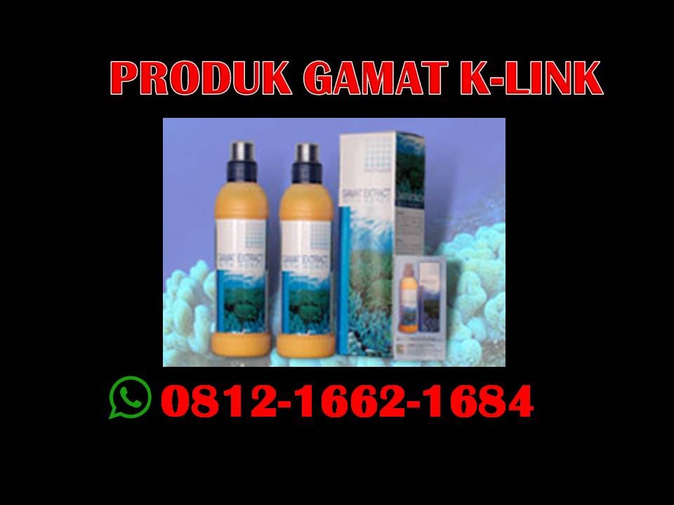 Manfaat Gamat Extract Emulsion, HP/WA 0812–1662–1684 (T-Sel), Gamat ...