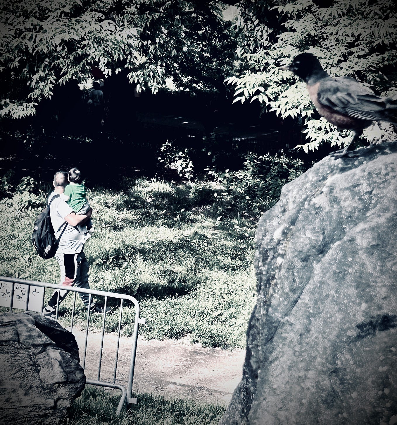 Starman - The Howling Owl - Medium