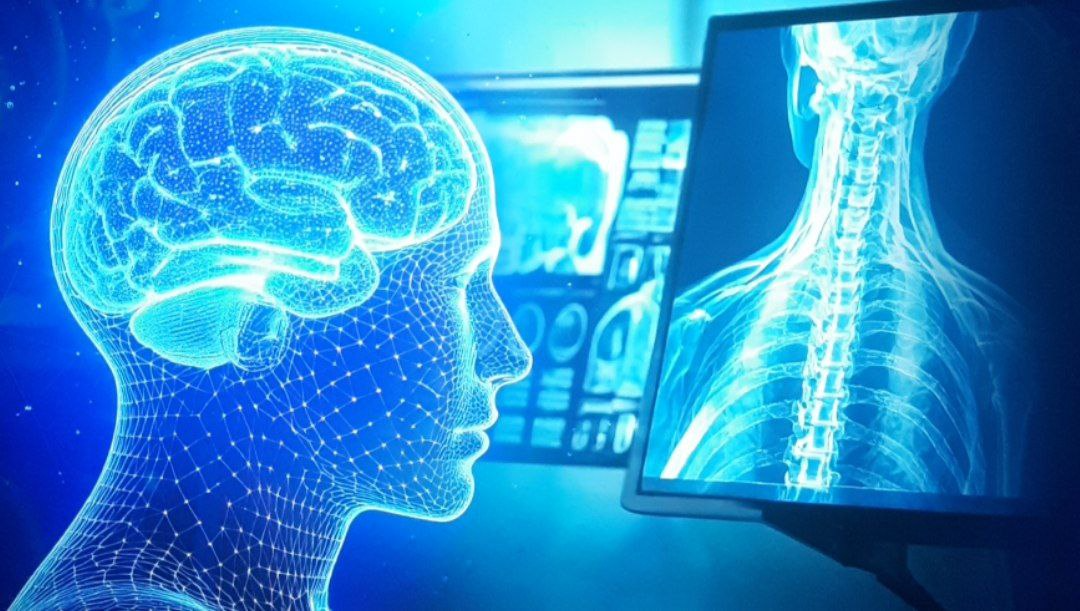 Memory Management: Python vs. Traditional Programming Language | by Akankshya Mohanty | Medium
