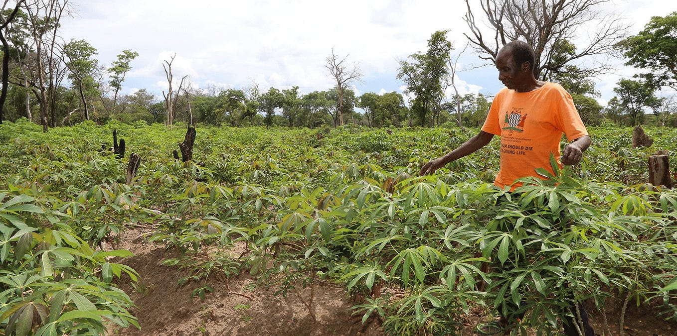 “Investing in Health”: The Rise of MedTech | by Baderin Tejuoso | Jun ...