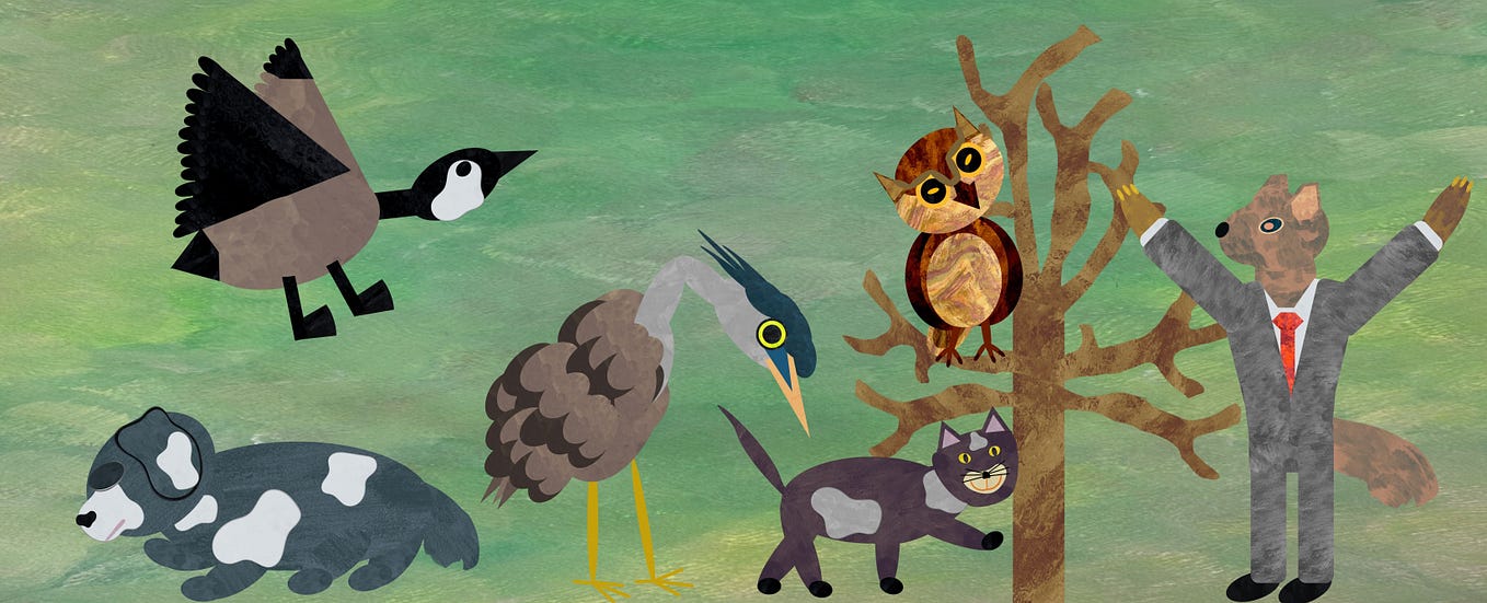 8 Life Lessons to Learn by Age 45 | by Anfernee | Medium