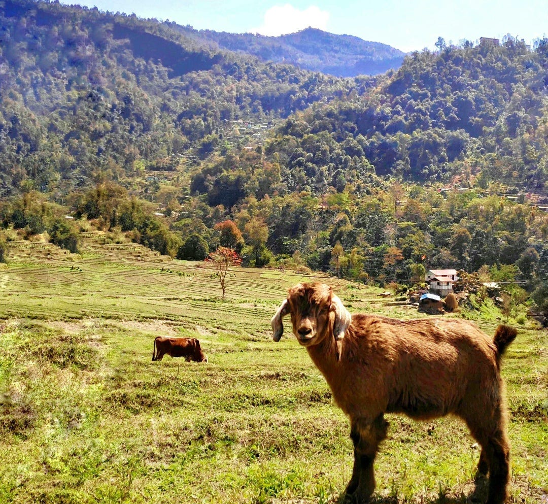 Mastering the Keras Fit Method: 5 Steps to Turbocharge Your Deep Learning Models | by Karthik ...