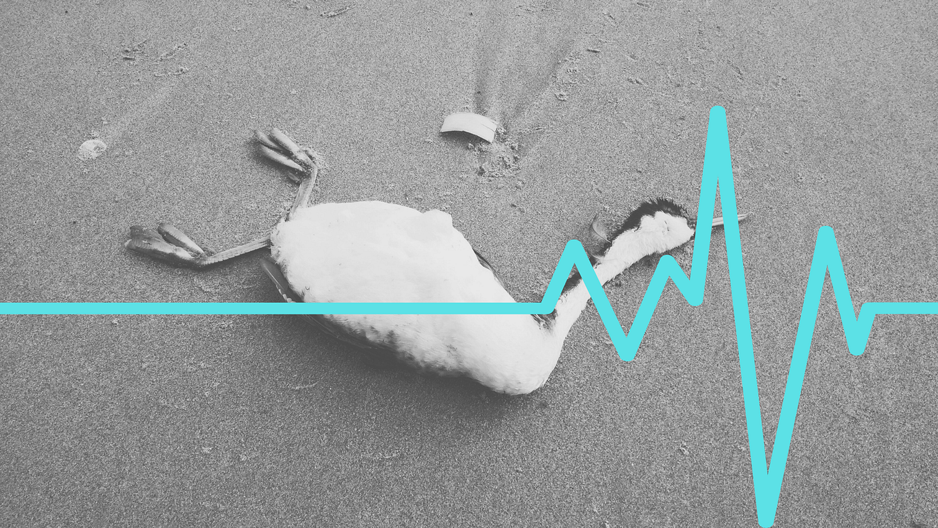 Five Artists Designing an Emotional Response to Ocean Plastic | by The ...