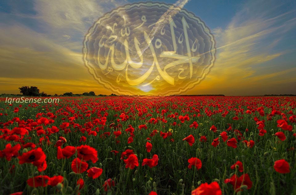 History of the City of Makkah. The early history before the birth of ...