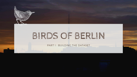 Identifying Berlin birds. Part II. | by Gaiar Baimuratov | Medium