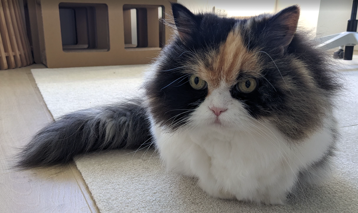 Flink SQL Performance Tuning, Part 1 | Dev Genius