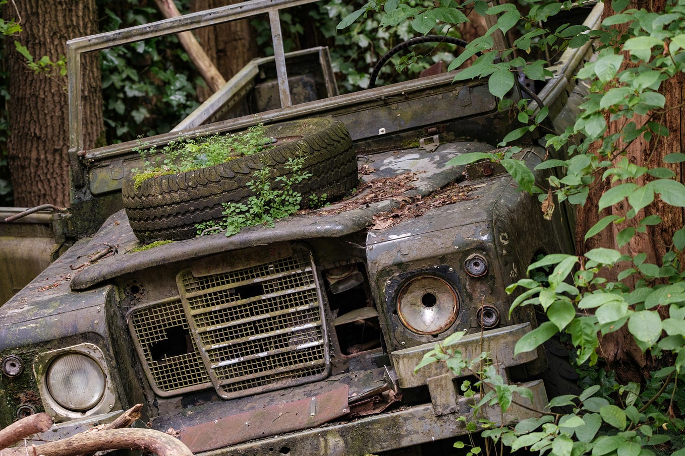 What Comes After HR Management?. Tree of Sanity | From Human Resources ...