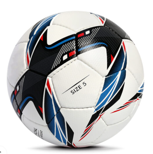 Soccer Quality International: Setting the Standard for Soccer Ball ...