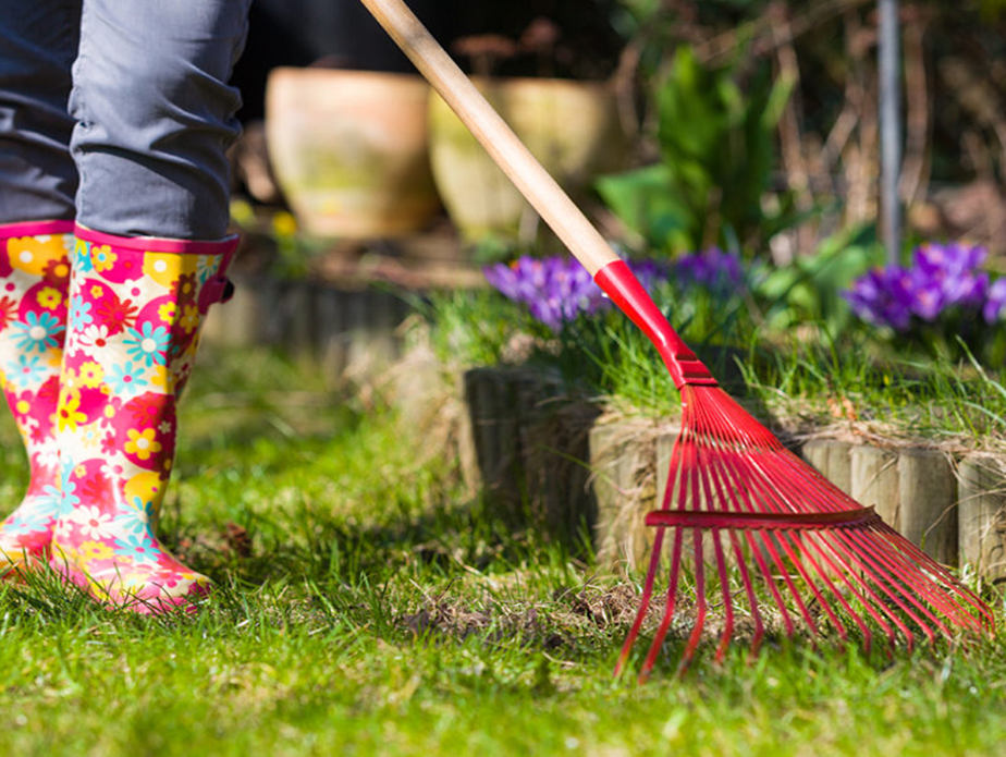 New Grass Installation in Damascus, MD: Transform Your Lawn with Walker ...