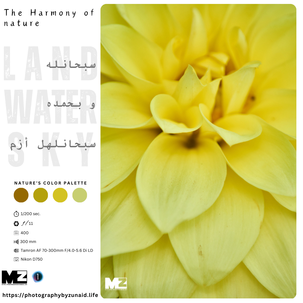Nature Color Palette #26 - Mohamed Zunaid - Medium