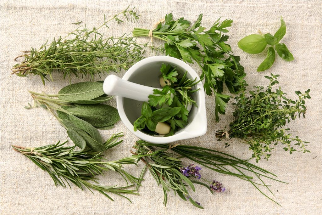 Men’s Natural Health: Powerful Herbs for Vitality and Strength | by ...