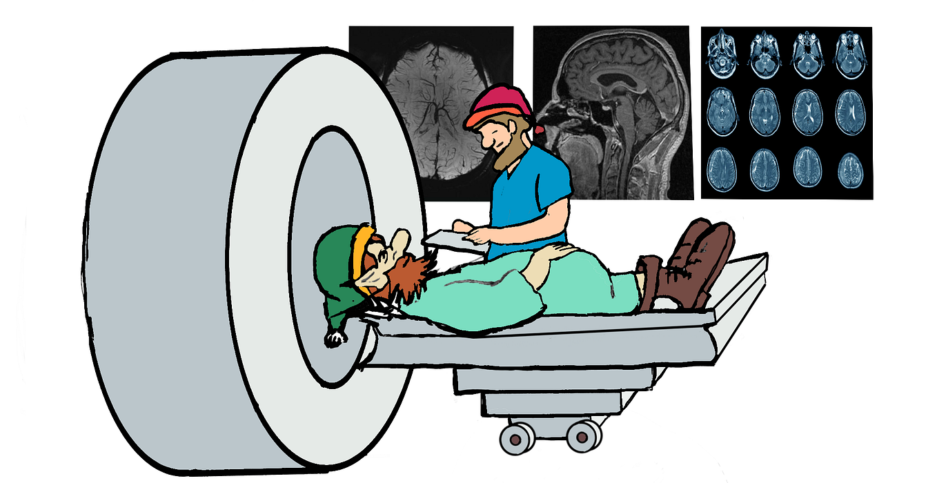 Using SlideIO Python Library for Image Analysis in Digital Pathology ...