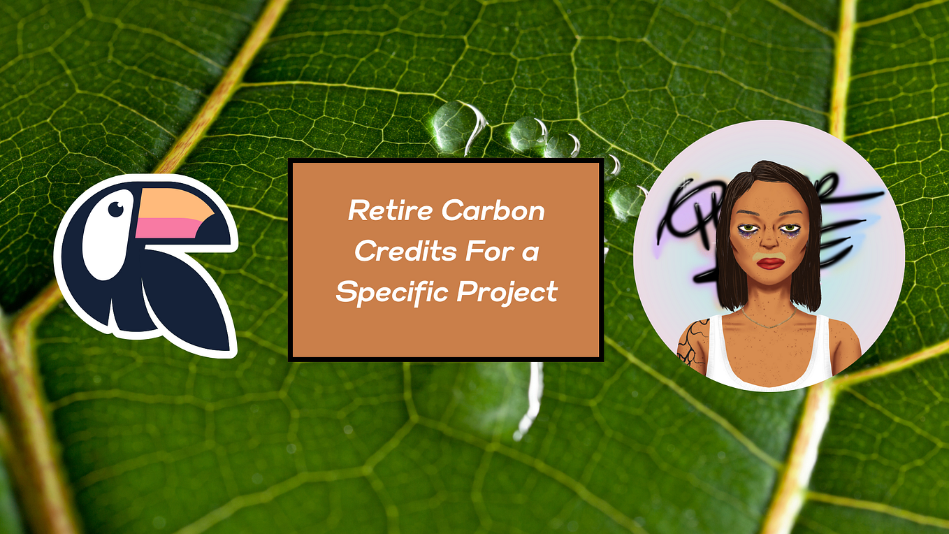How to retire Carbon Credits with Toucan Protocol — An overview | by ...