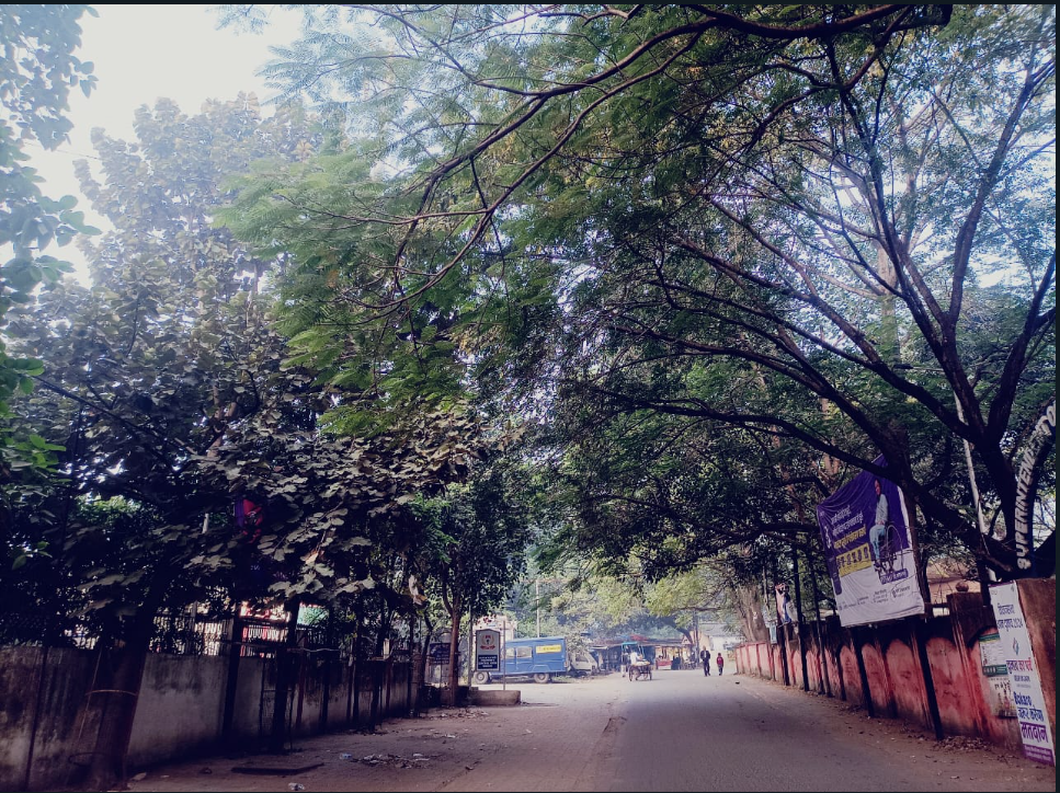 Makar Sankranti,2025. The sky was a vibrant tapestry, alive… | by ...