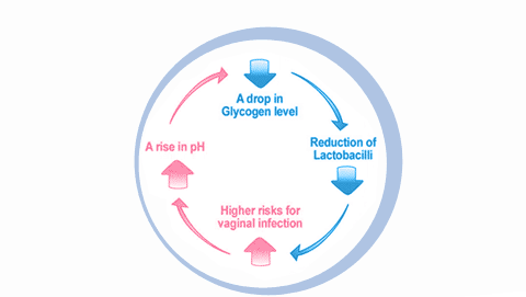Clean private parts. Vwash intimate hygiene wash will keep… | by VWash ...