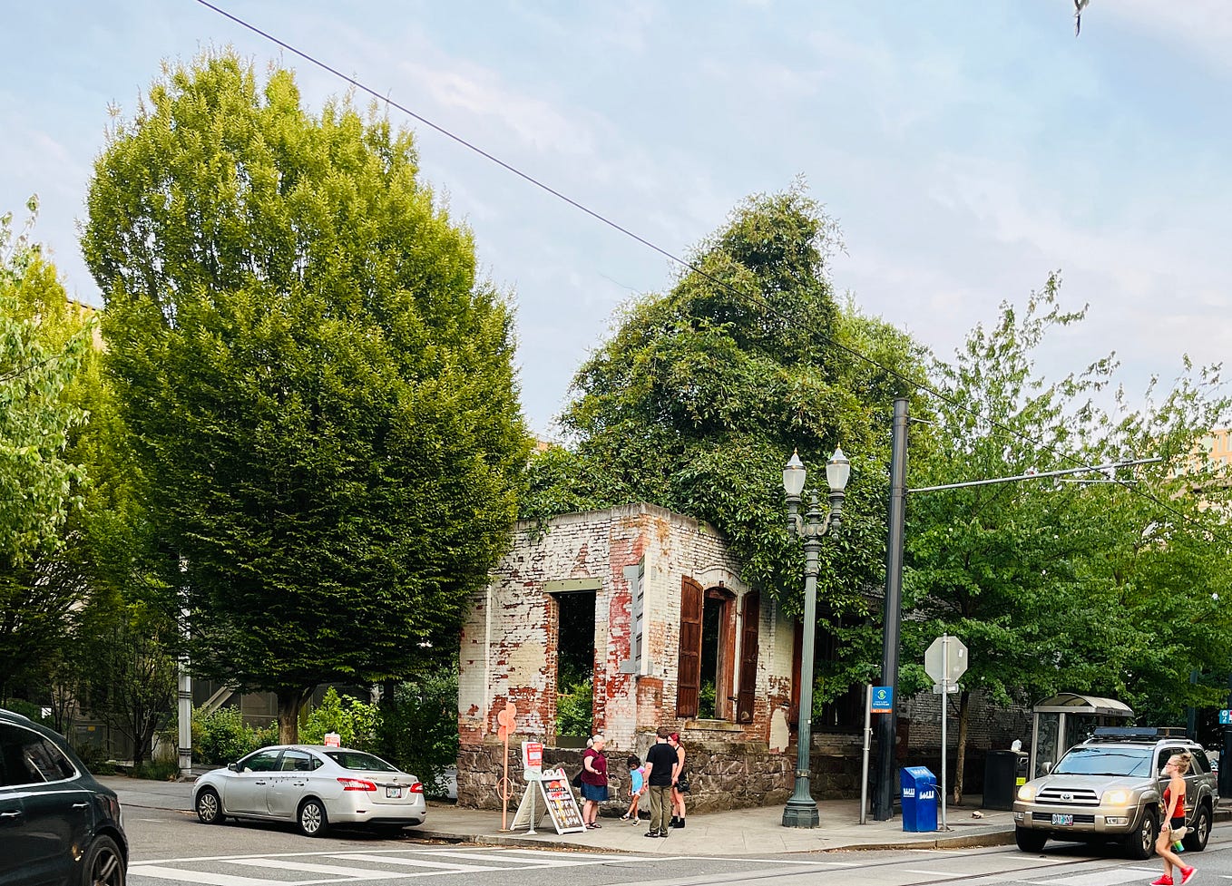 Pocket parks: a creative approach to enhancing urban forest canopy | by ...