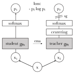 Swin Transformer in Depth: Architecture and PyTorch Implementation | by Övül Arslan | Medium