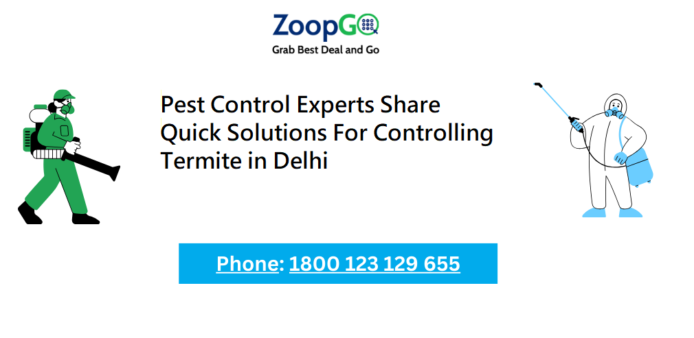 Detecting the Early Signs and Application of Pest Control in Delhi for ...