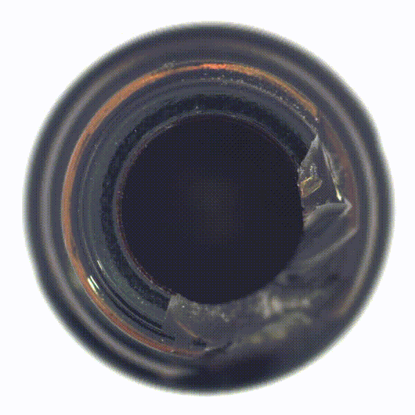 Instance Segmentation — SparseInst on NVIDIA RTX 3060, AGX Orin and Xavier NX | by Jill Hsu | Medium