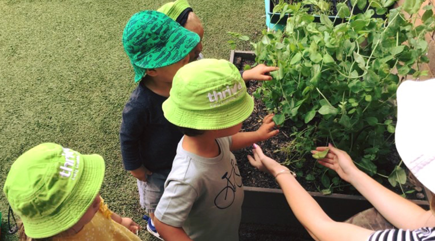 Creating a Nurturing Environment for Children at Kinderoo ELC — Busy ...