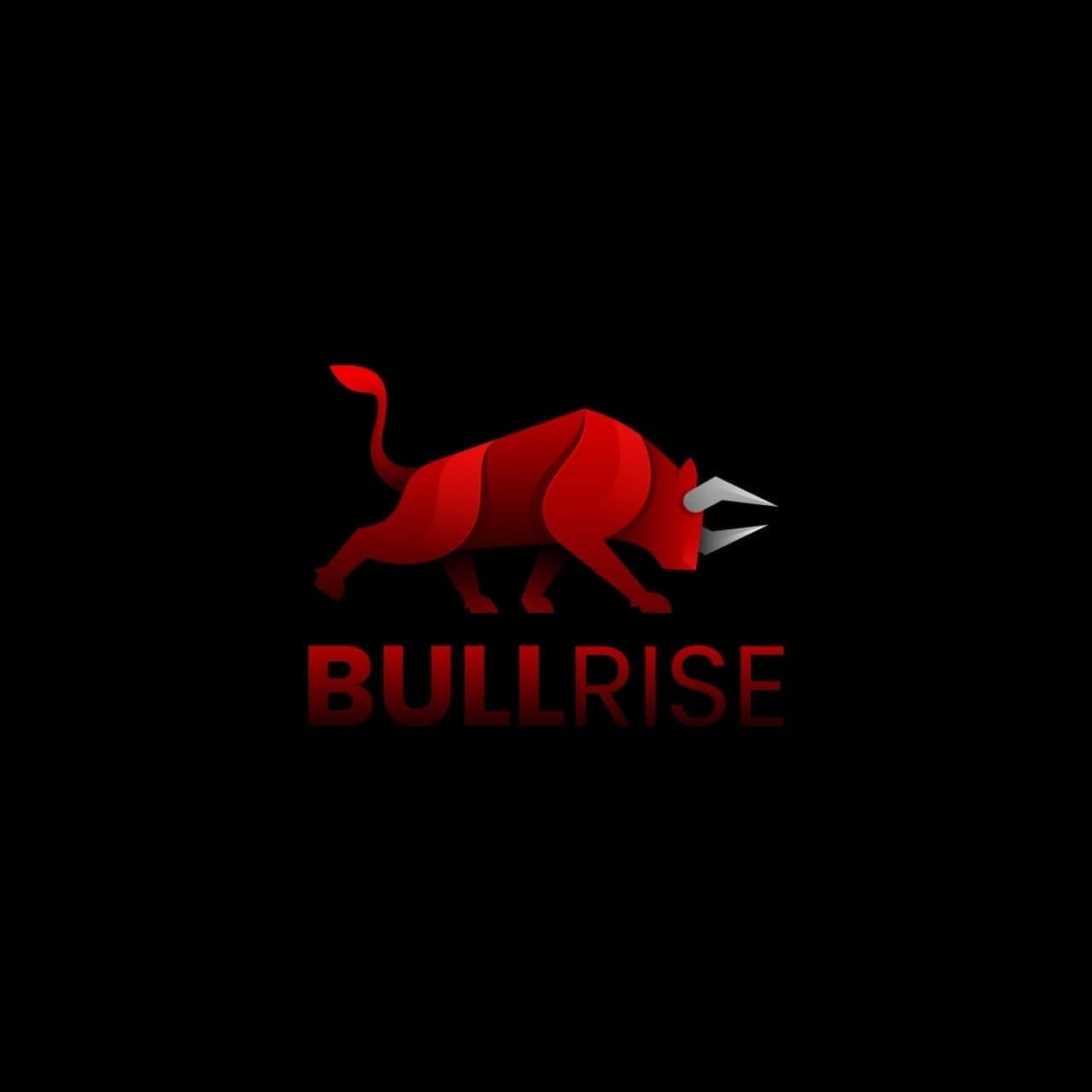 BullRise — A Seven-Course Meal. Introducing, the BullRise Ecosystem ...