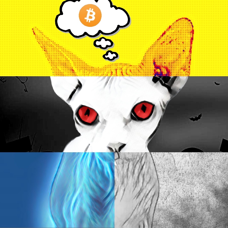 NFT Reveal #5/20: Mondrian. Another humble tribute to a great… | by Bizarrebra | Medium