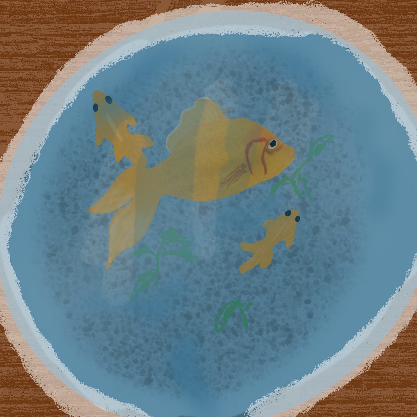 Display Rich Text In The Console Using Python | by Christopher Tao ...