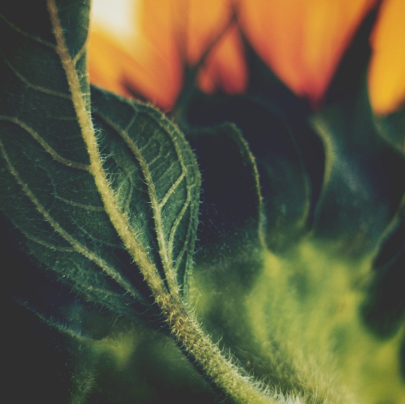 The Mindful Photographer. Finding Zen Through the Lens | by Anthony ...