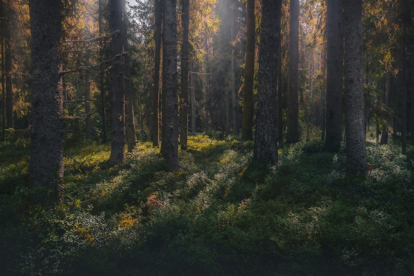 Mastering Reactcomponentprops A Typescript Developers Guide To Component Type Extraction By