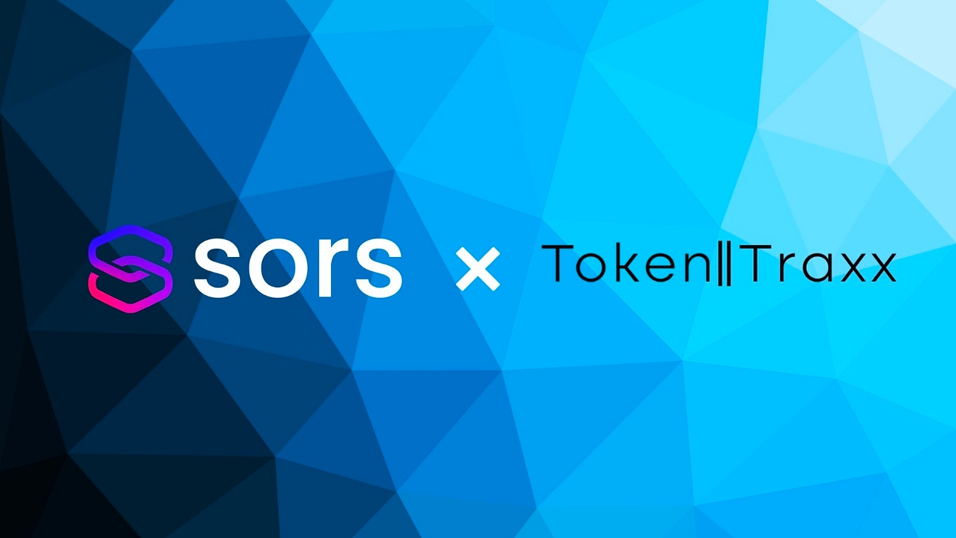 An Overview of Bridges and the Multi-Chain Future | by Sors | Medium