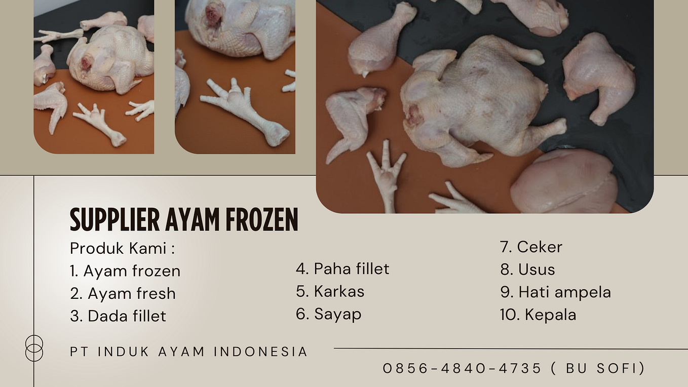 Gratis Ongkir 0856–4840–4735 Supplier Ceker Ayam Beku Frozen Untuk ...