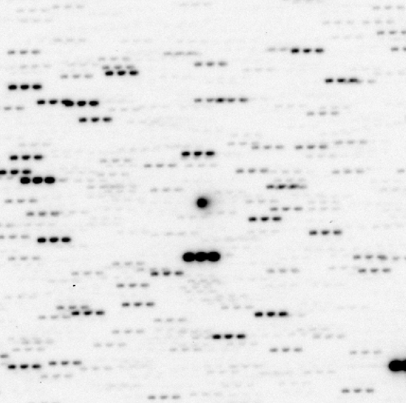 What are Voids, and How Did They Originate? | by Space | Medium