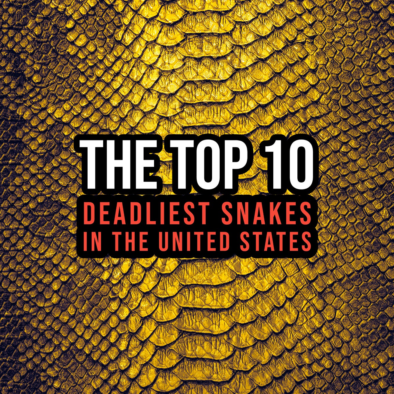 What Are Magnetars?. A Comprehensive Guide to These… | by Larry Slawson | Sep, 2024 | Medium