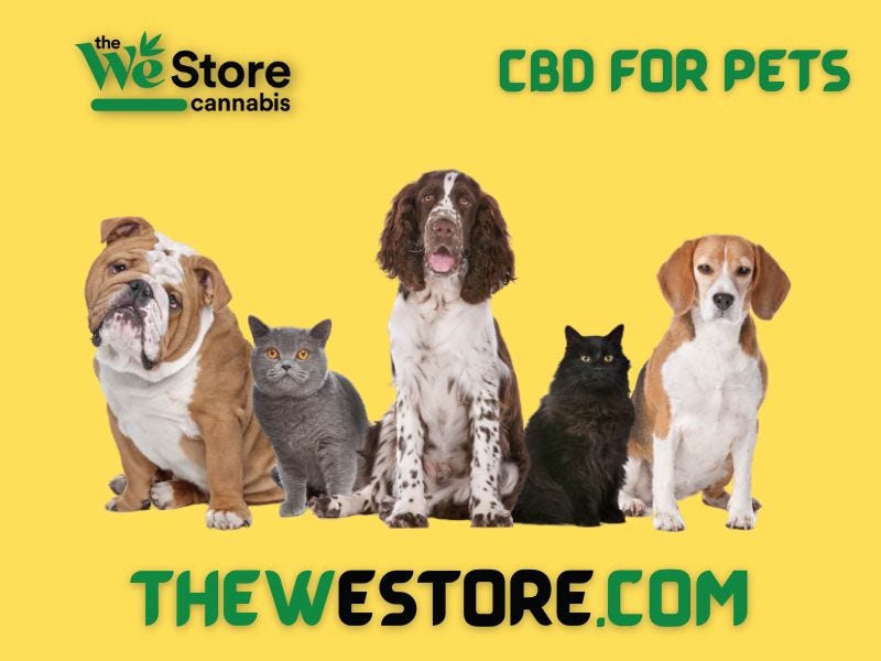 How to make cannabis edibles — The We Store | by thewestoreca | Medium