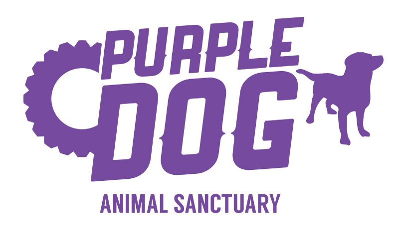 Conditionals and How They Are Used in Algorithms | by Sean Guthrie | Medium